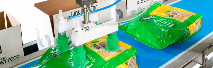 Revolutionizing Packaging with Pick and Place and Case Packing Systems